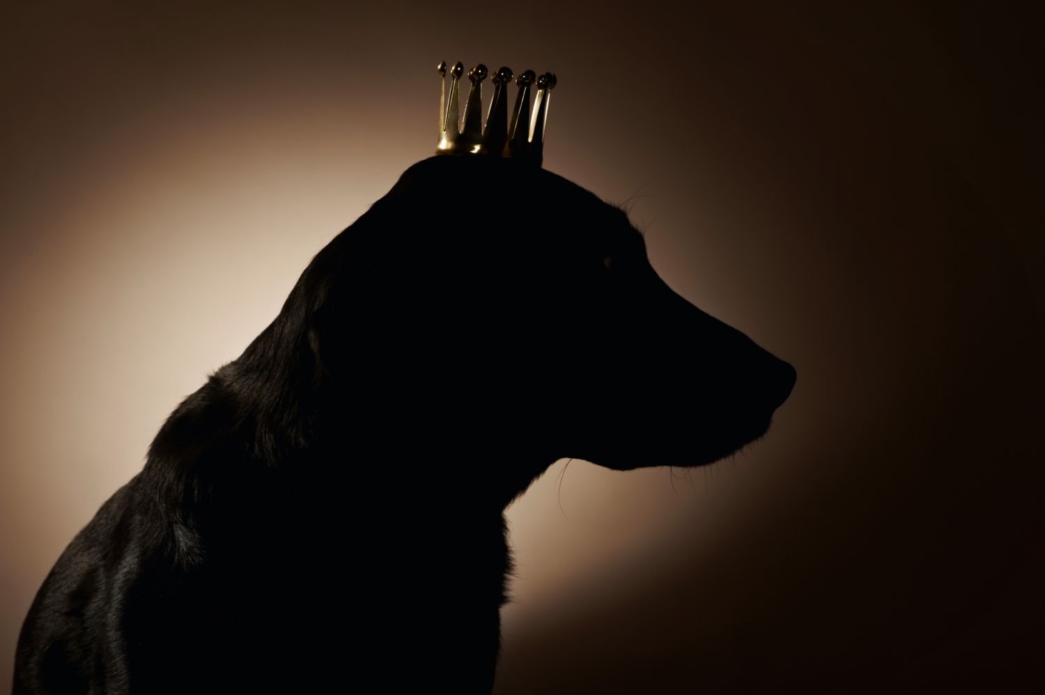Barkouf, or a Dog in Power - Opéra national du Rhin